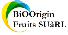 Bioorigin fruits | F6S