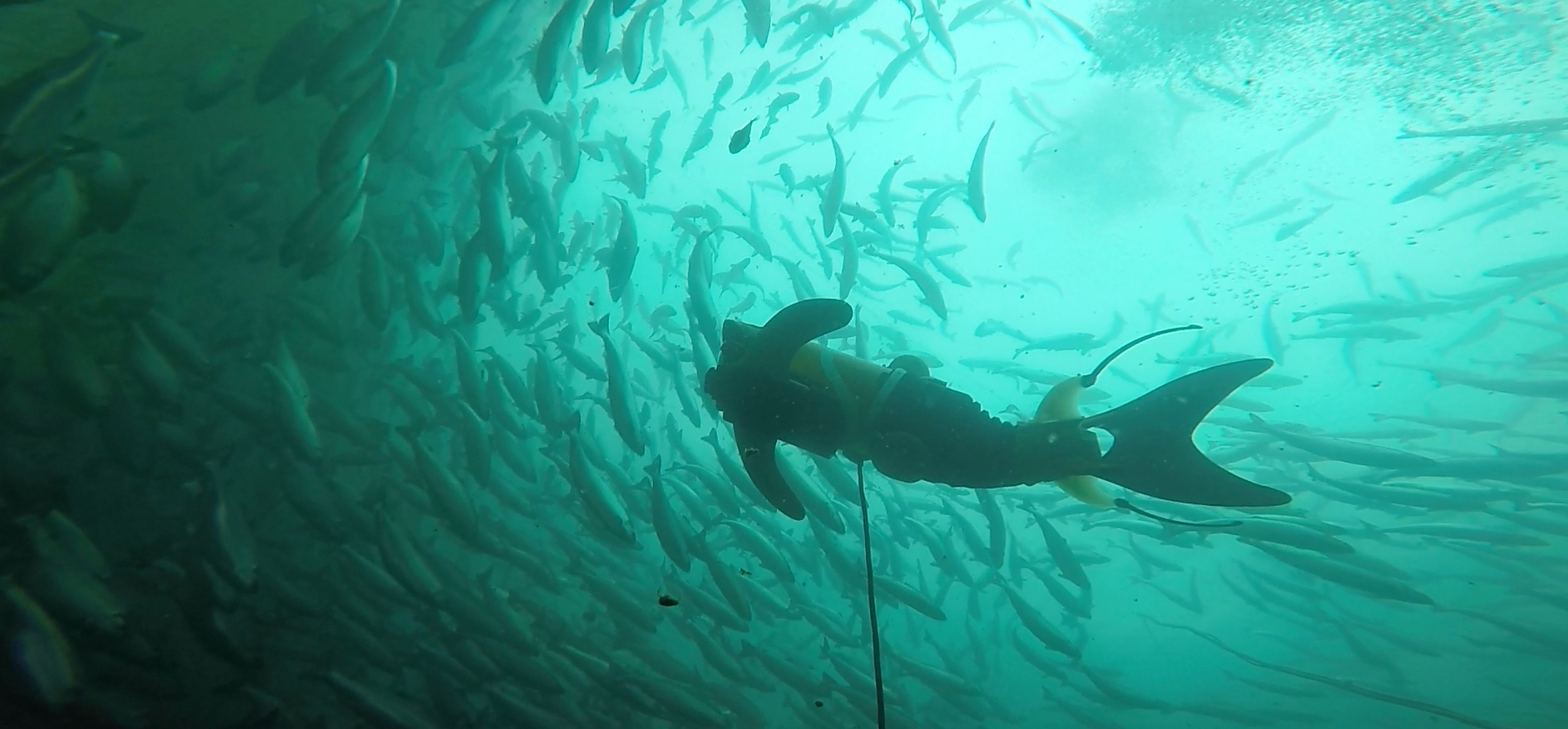 Aquaai Corporation | F6S