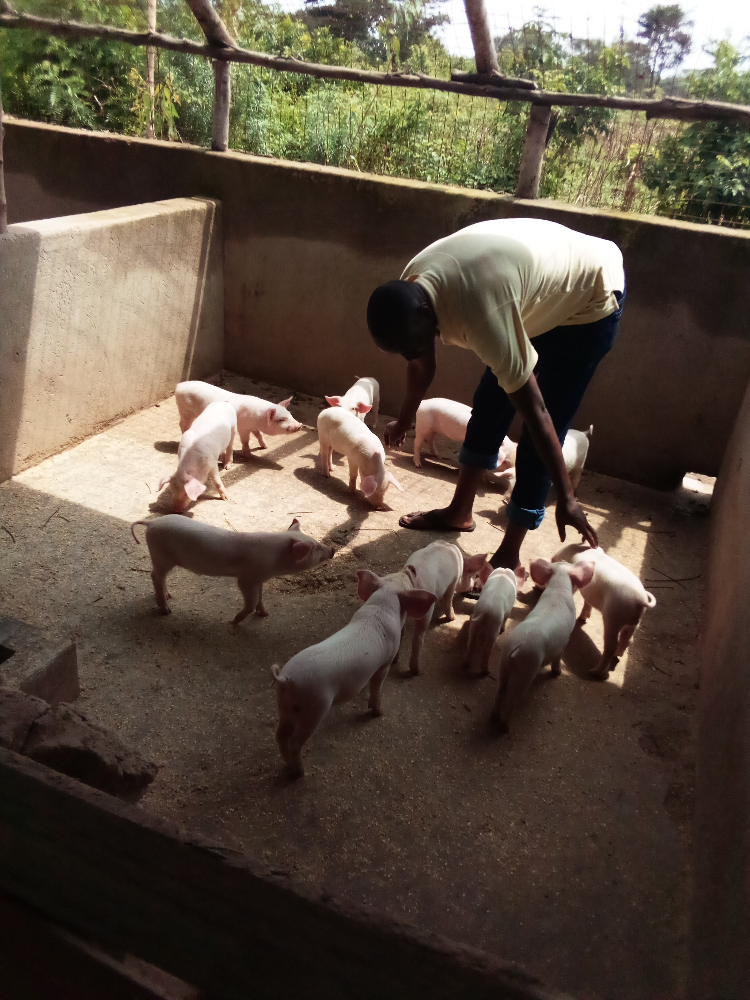 Integrated Farming for Development (IFD) | F6S
