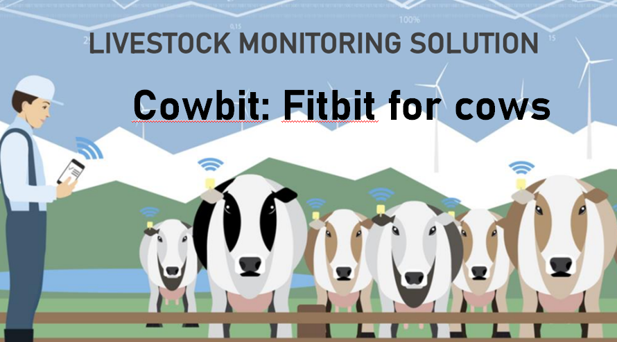 Cowbit Technologies Pvt Ltd | F6S