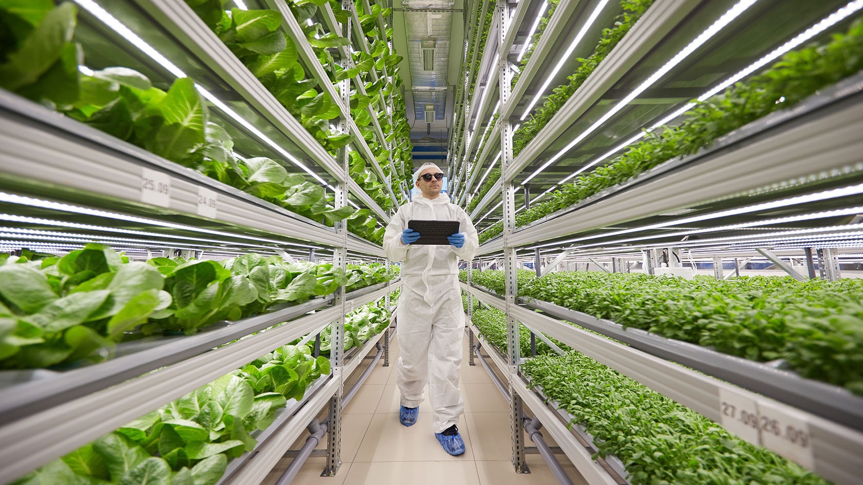 iFarm corporation | F6S