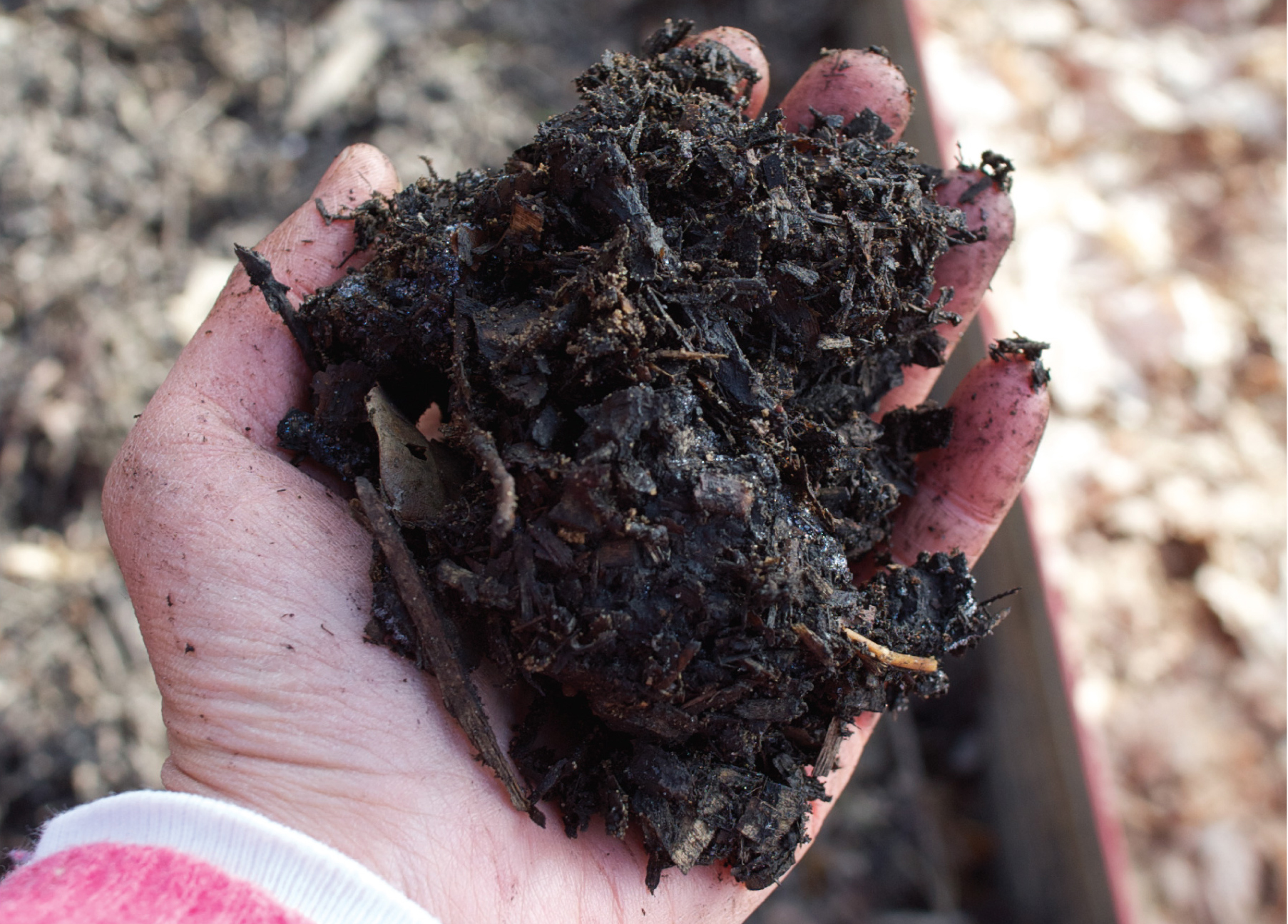 DYCLE Diaper Cycle | F6S