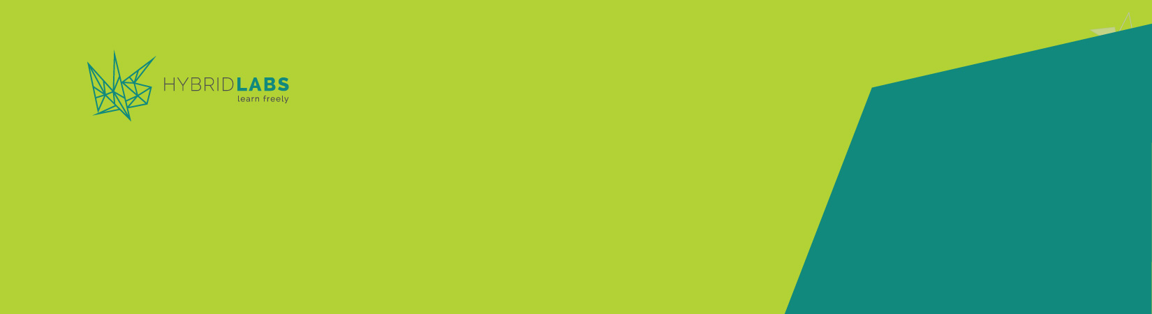 NS Hybrid Labs | F6S