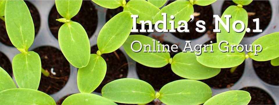 Farmguru - CashPe Agri Retail Pvt. Ltd. | F6S