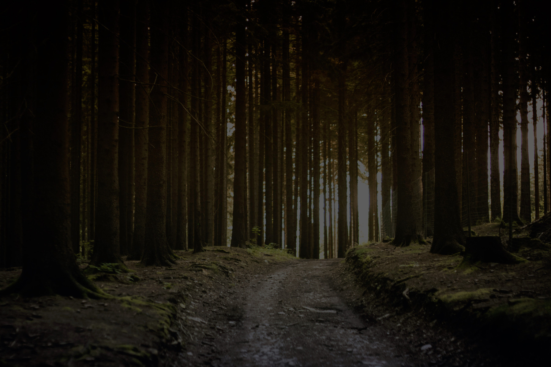 Flexi - Discover and book fitness | F6S