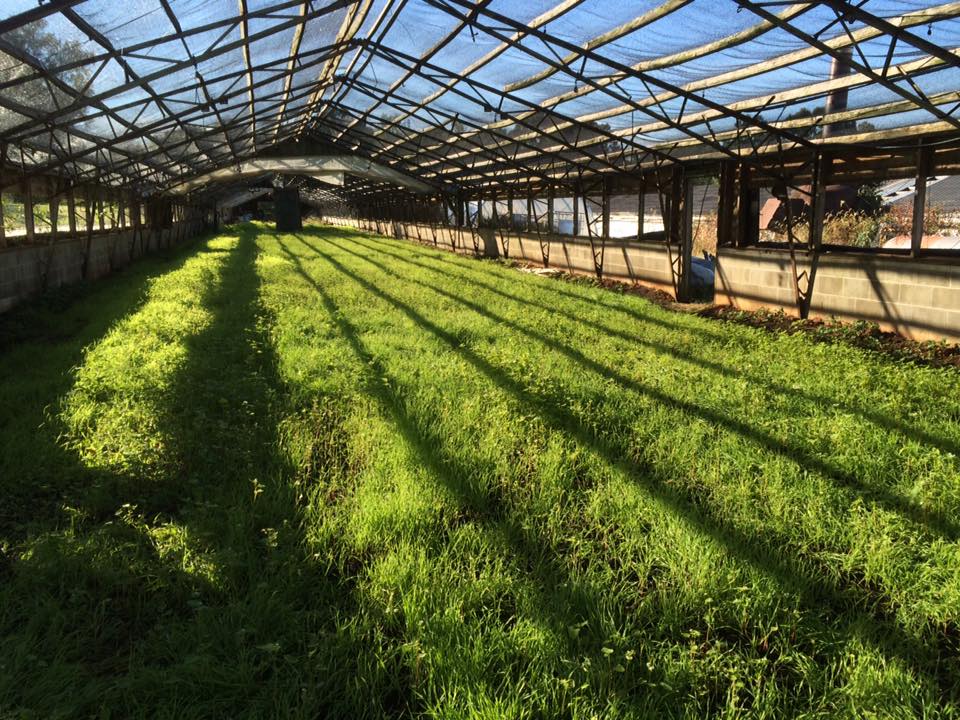 Virginia Vegetable Company | F6S