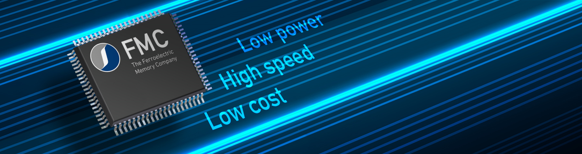 Ferroelectric Memory GmbH | F6S