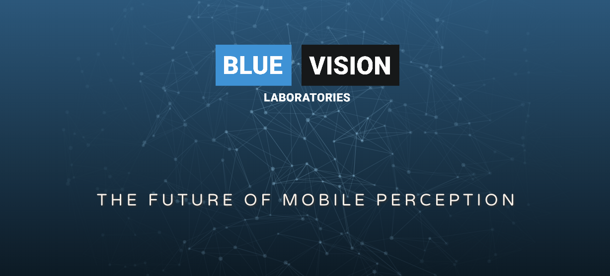 Blue Vision Labs | F6S