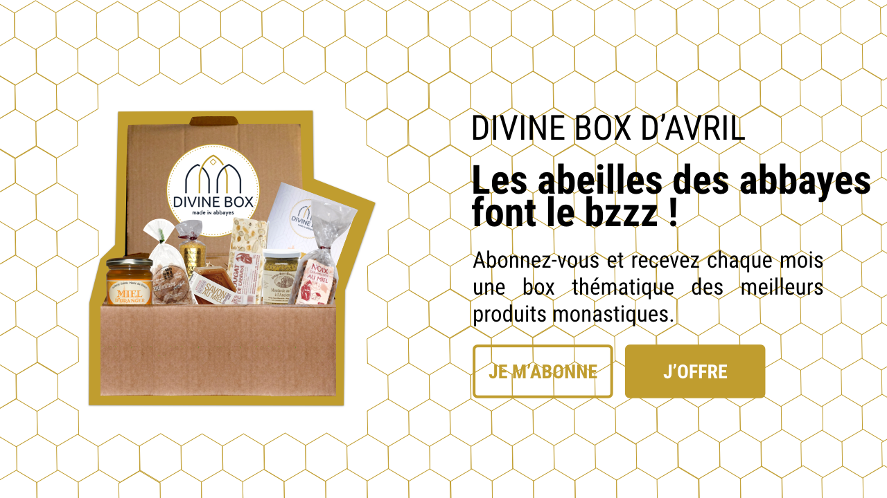 Divine Box | F6S