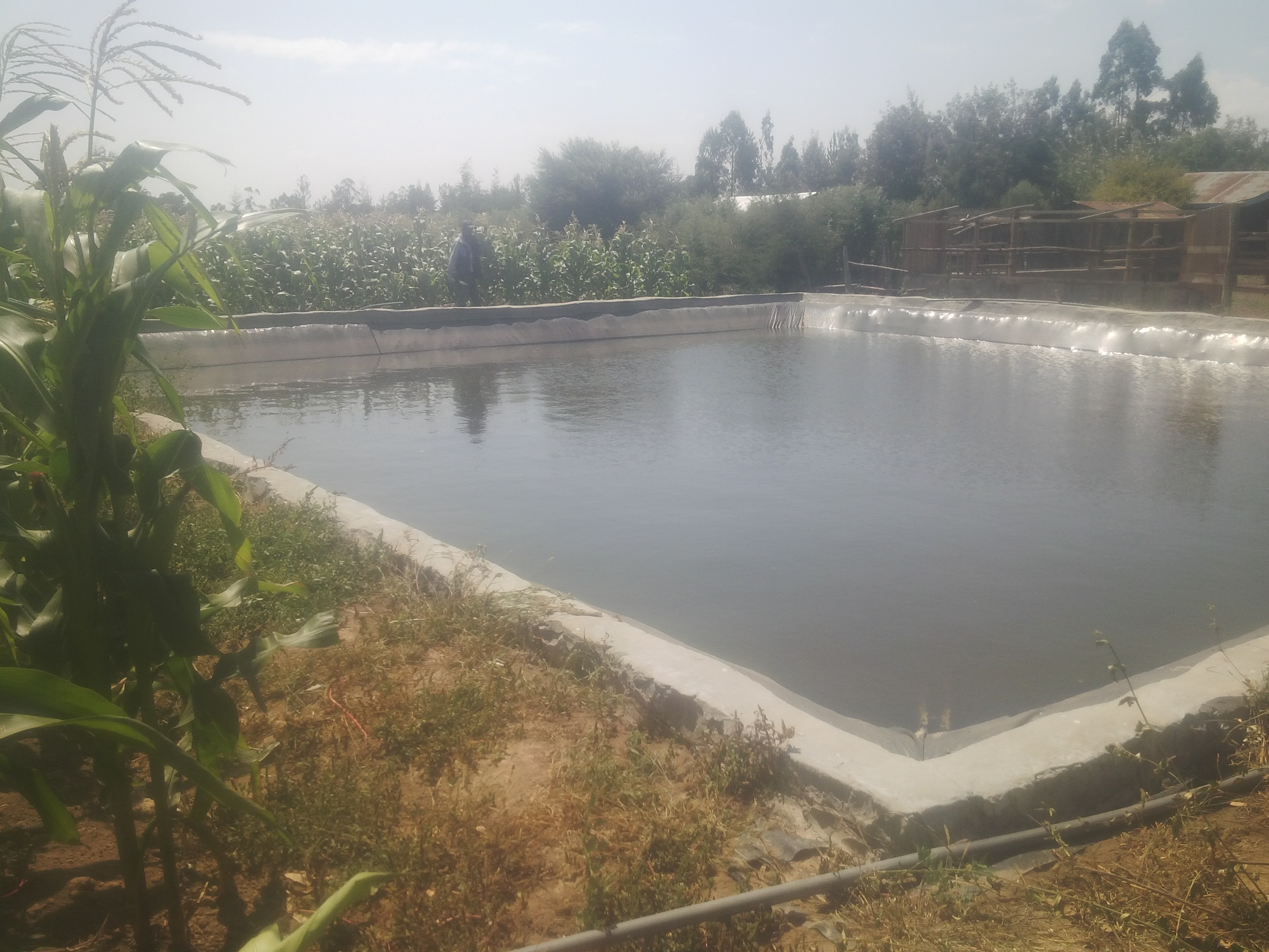 Nutri-Fresh Farm & Agri Hub | F6S