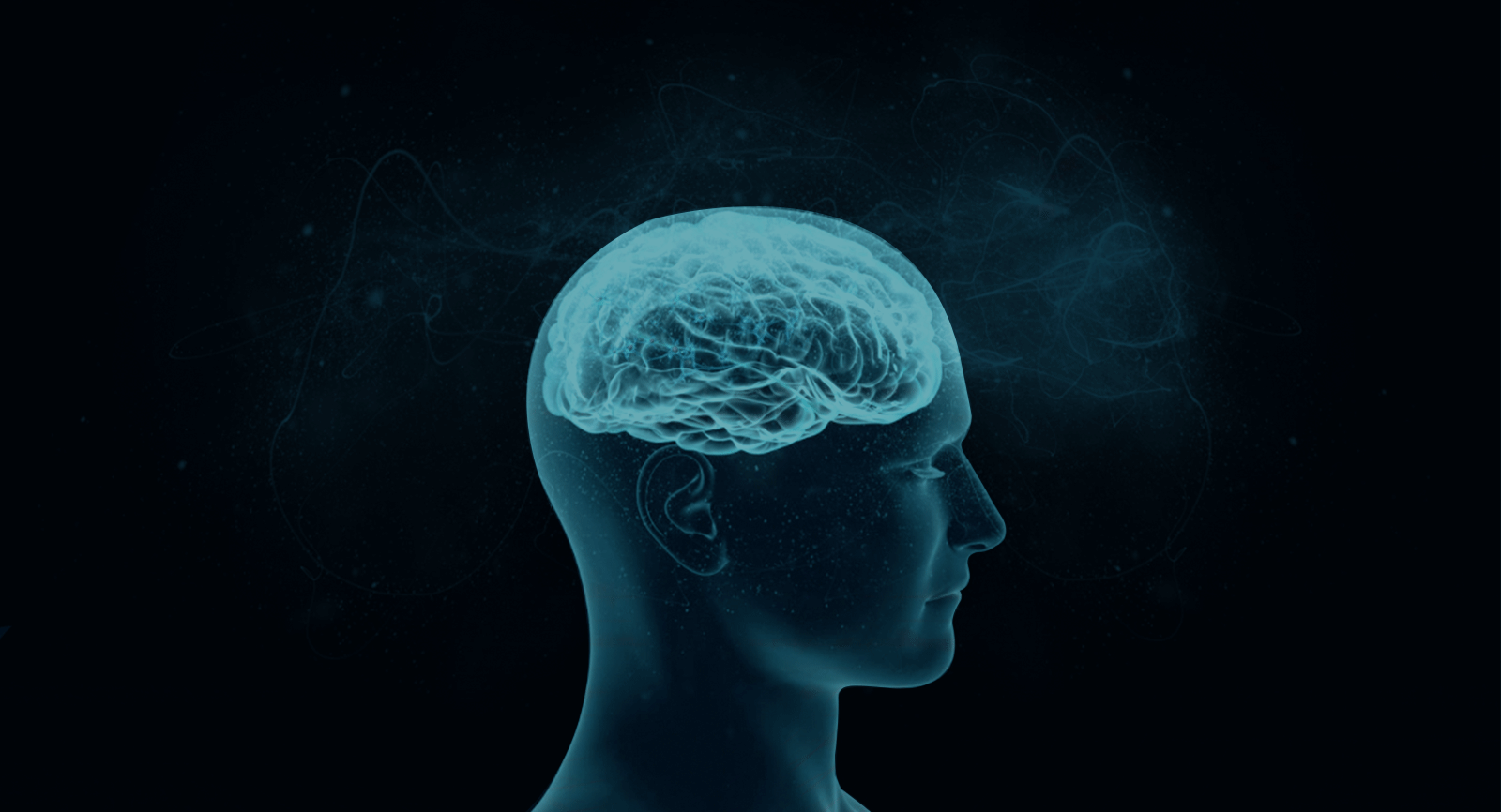 Sentient Machines | F6S