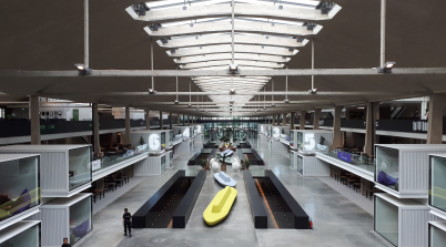 Apply to ShakeUp Factory | F6S