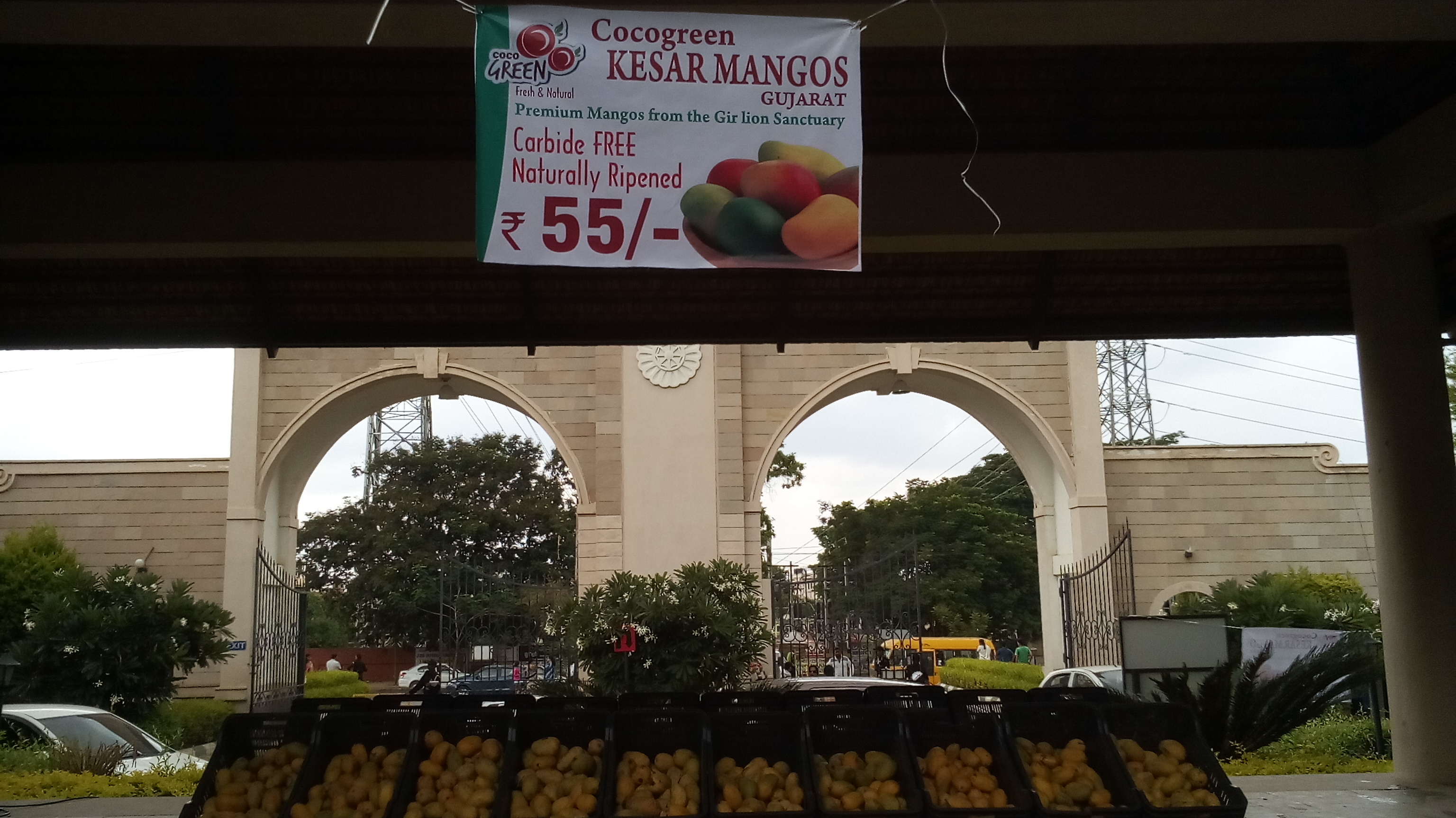 Cocogreen Foods | F6S