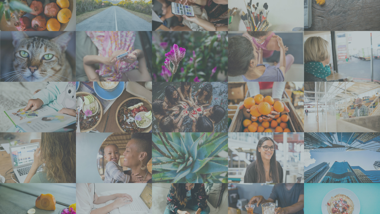 The Photo Forest - Media company in Indonesia - F6S Companies