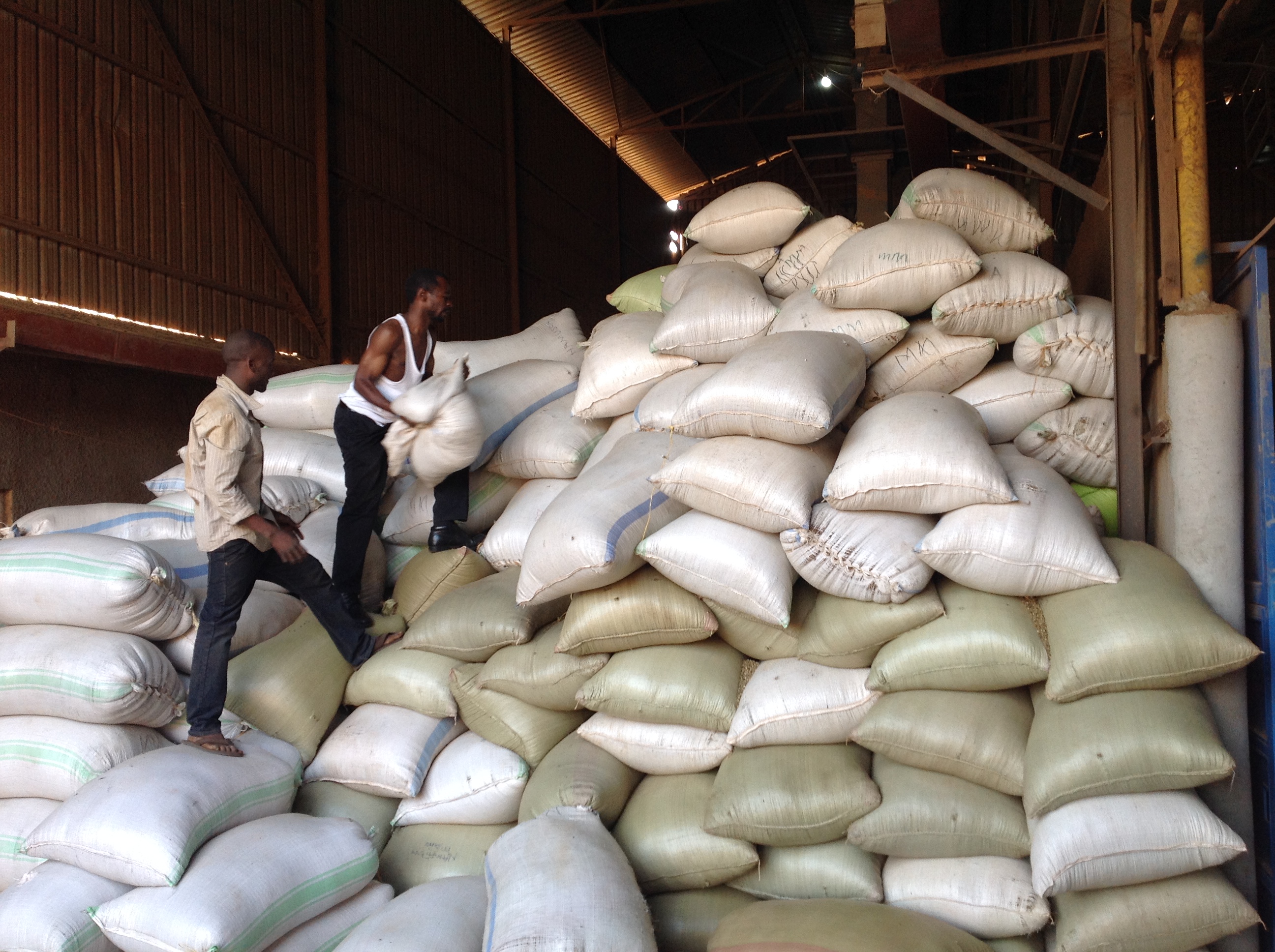 Rabboni Group Ltd | F6S