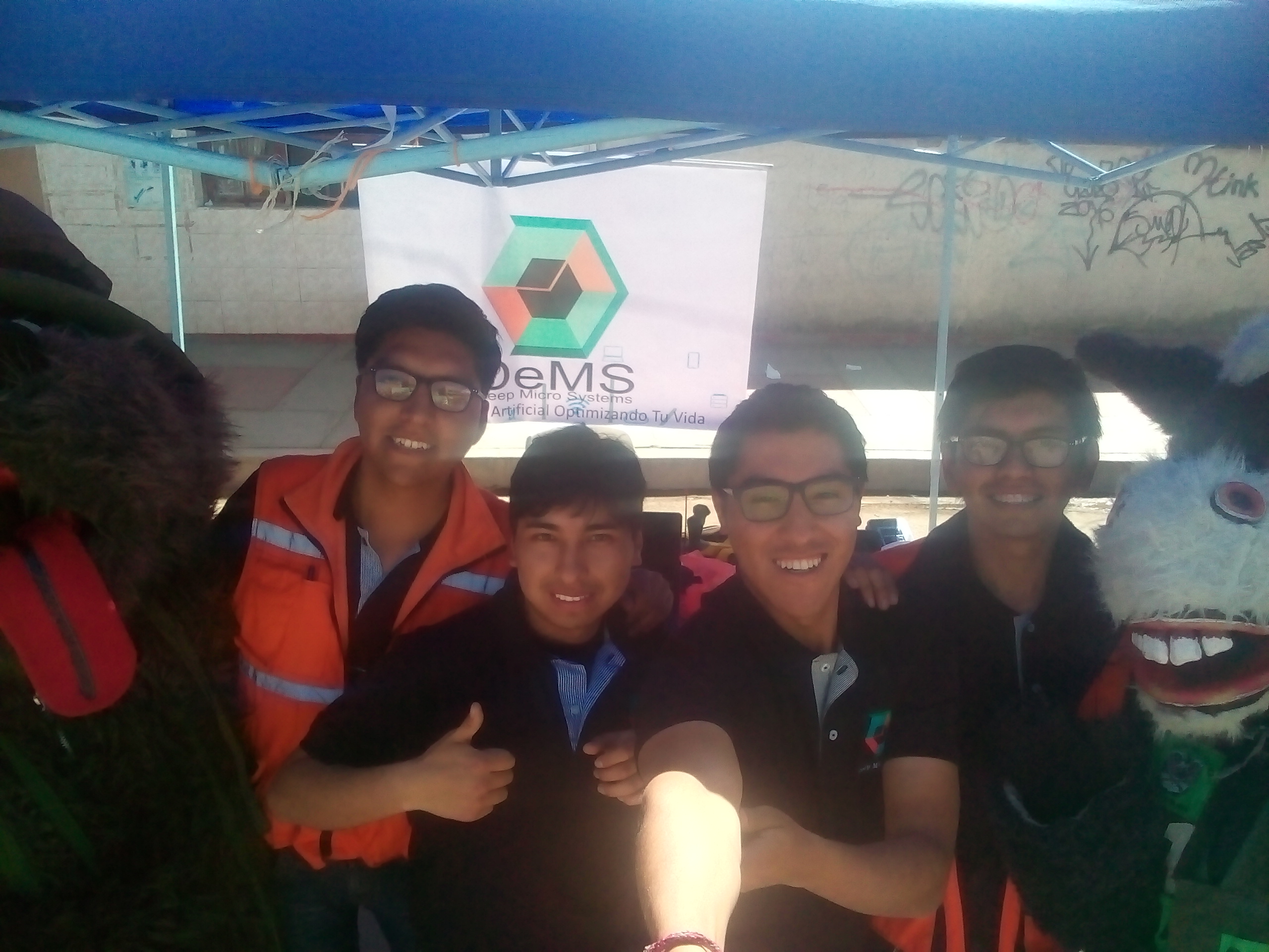 Deep Micro Systems | F6S