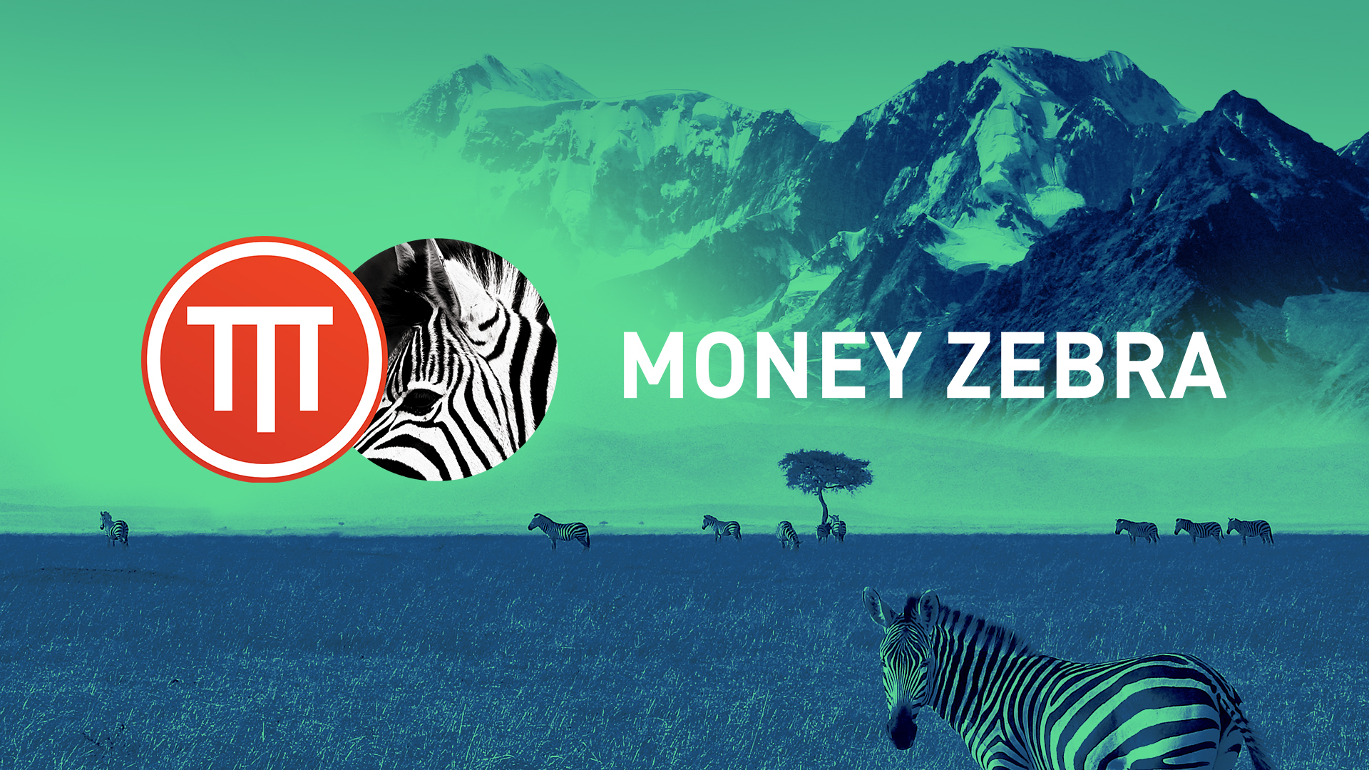 Money Zebra | F6S