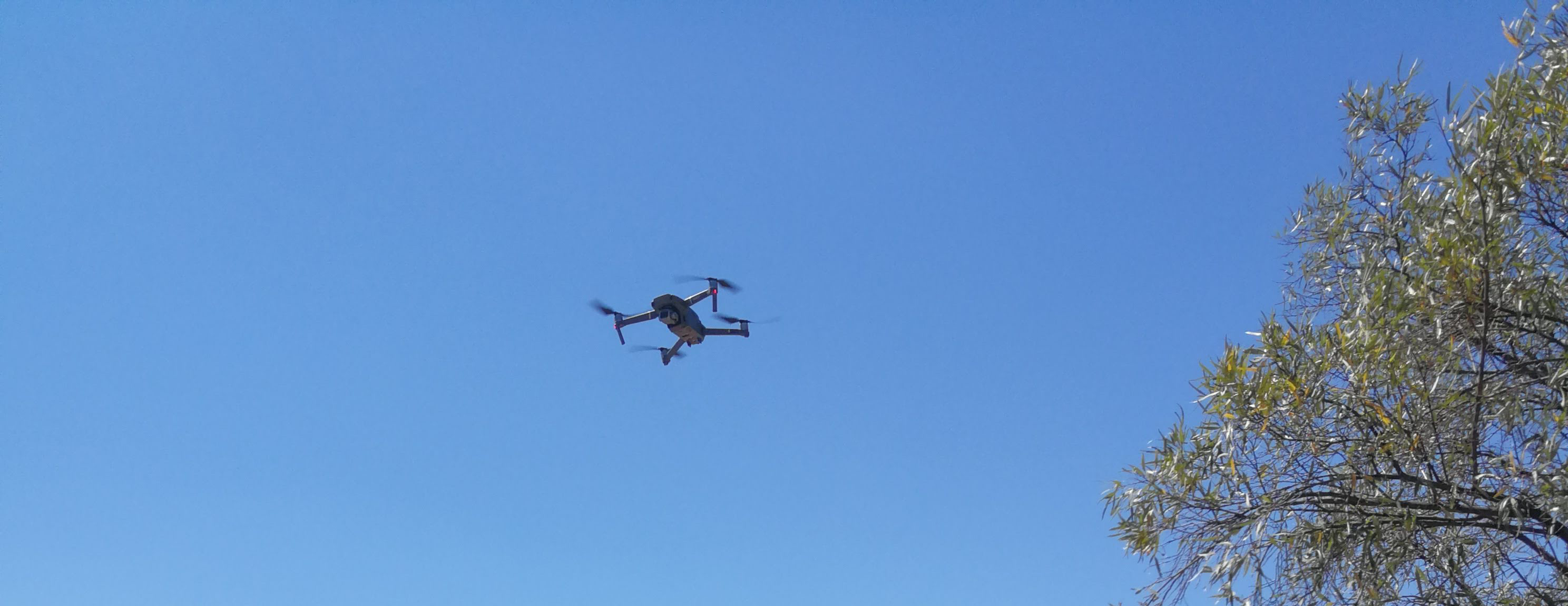 The MAGIC Venture | F6S