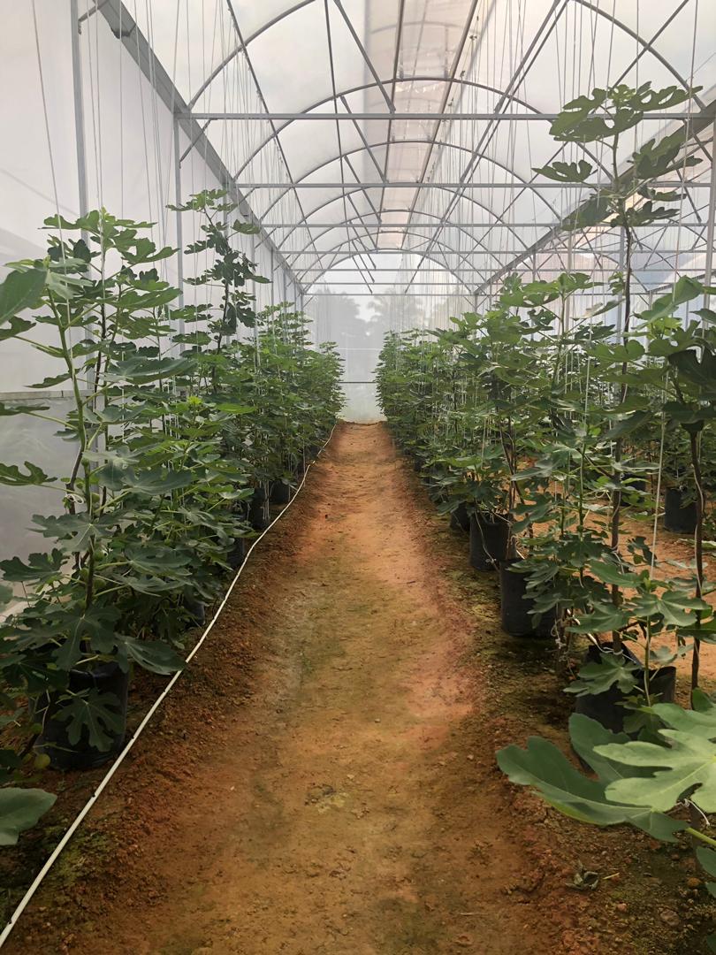 ADI SOLAR ENERGY SARL | F6S