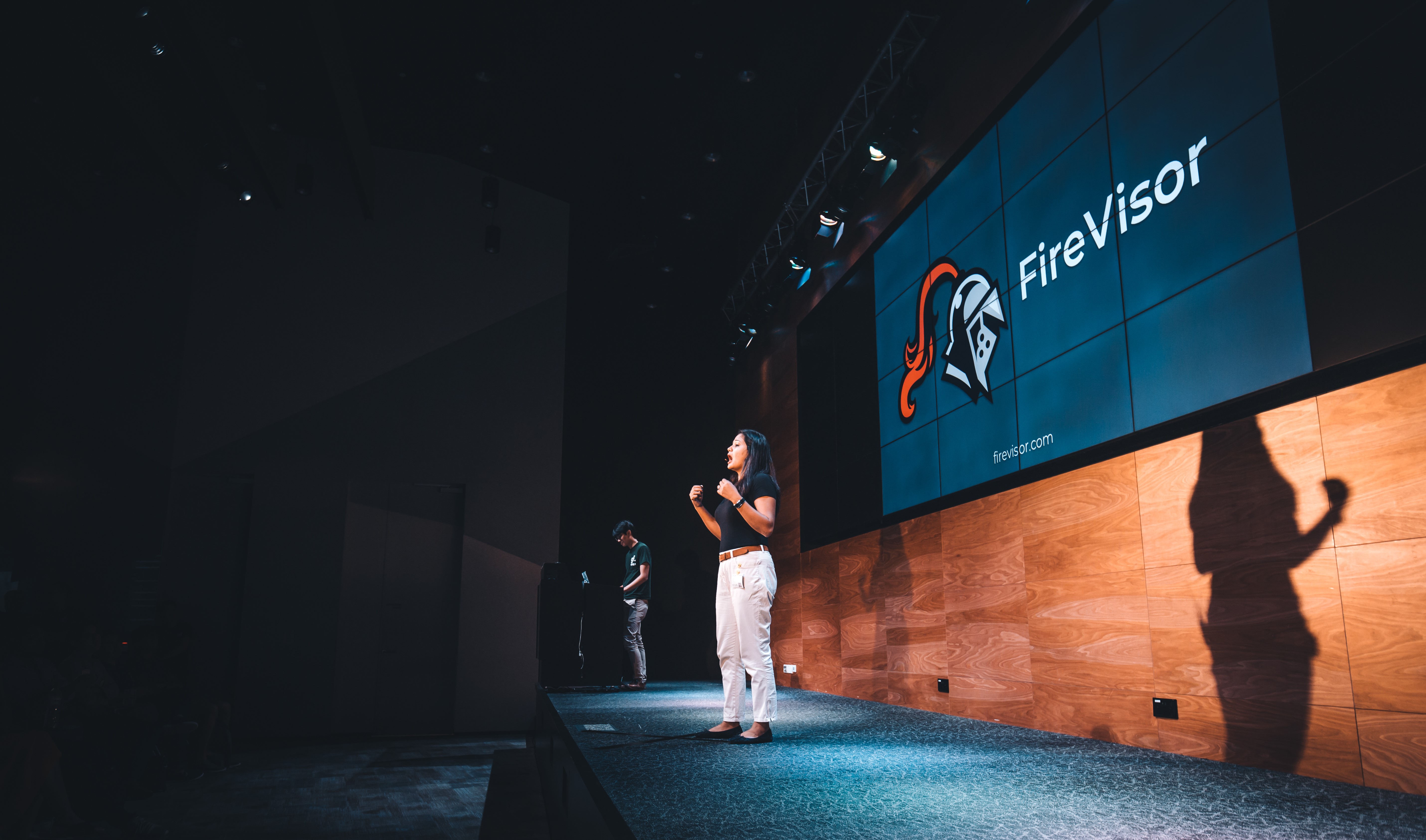 Firevisor Systems | F6S