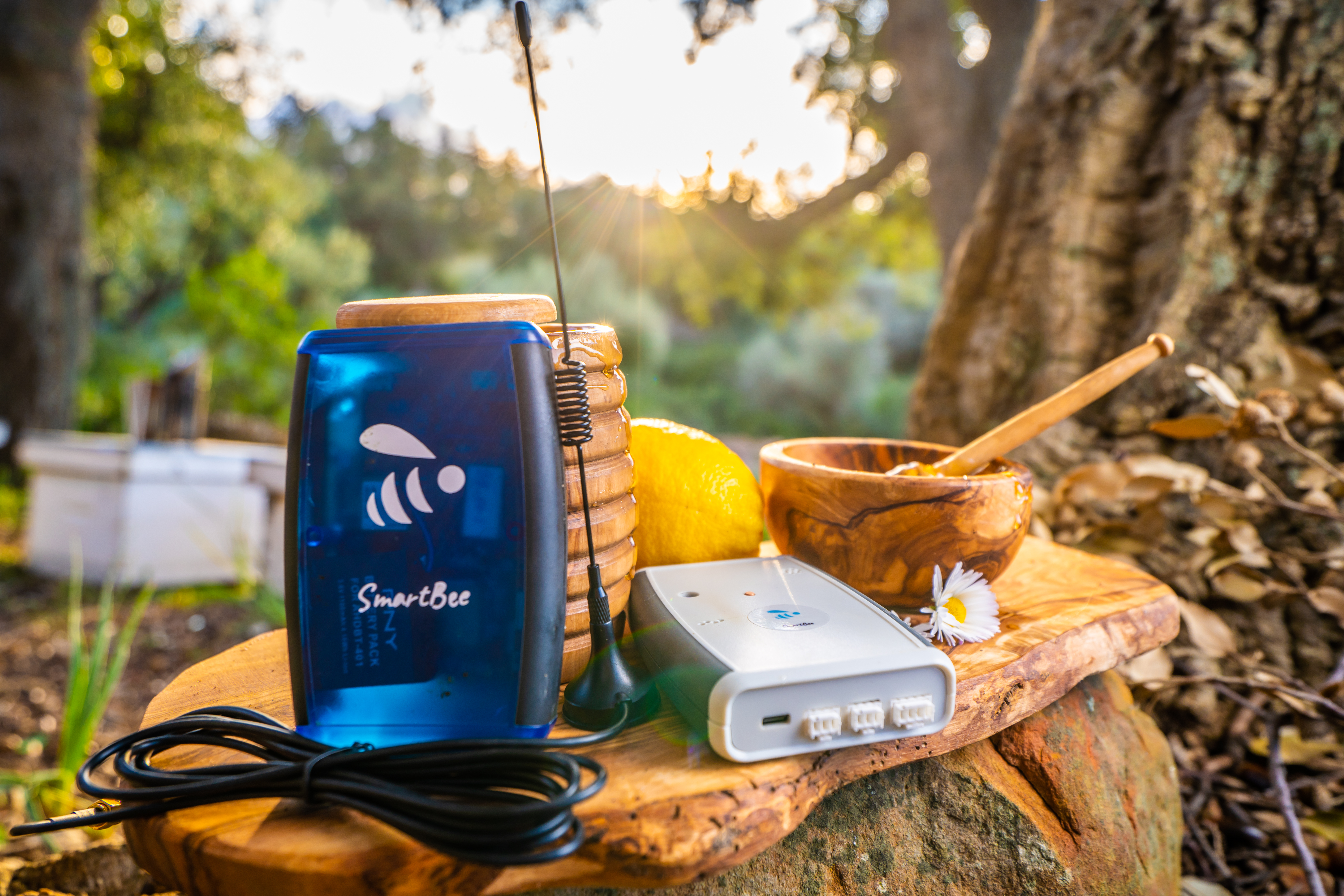 IRIS Technologies | F6S